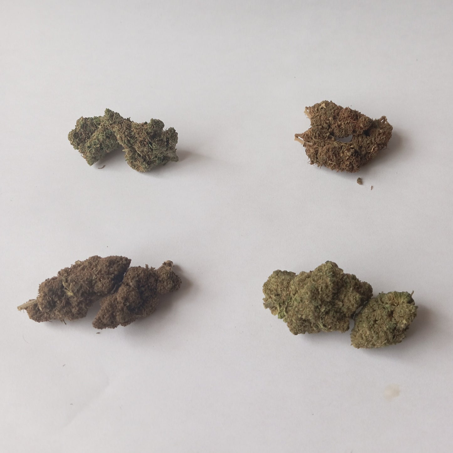 CBD Flower Sample Pack - 4x strains – Panda Budz